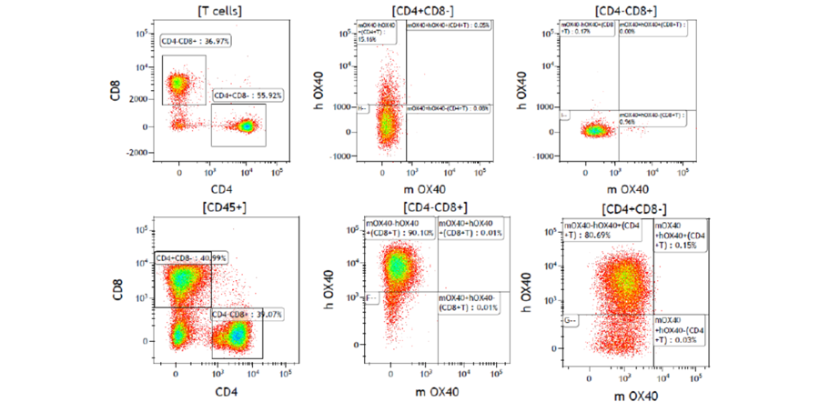 OX40与其配体OX40L的详细解读|南模生物