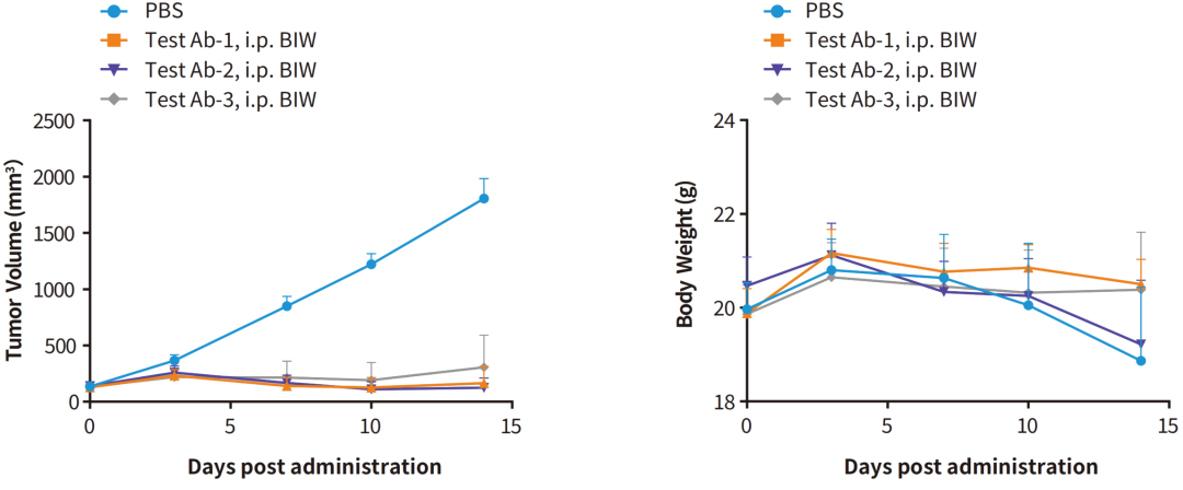 关于CDX模型，这些知识点你必须了解！