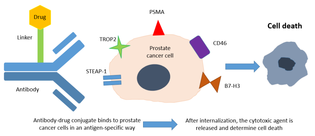 PSMA：前列腺癌明星靶点