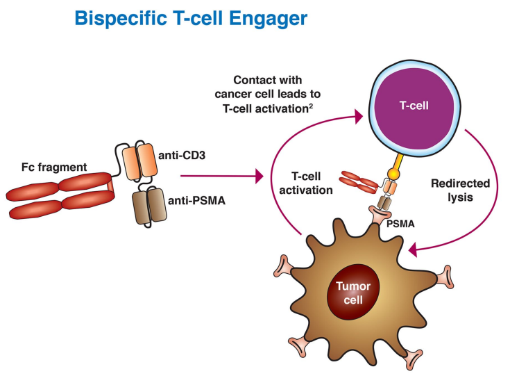 PSMA：前列腺癌明星靶点