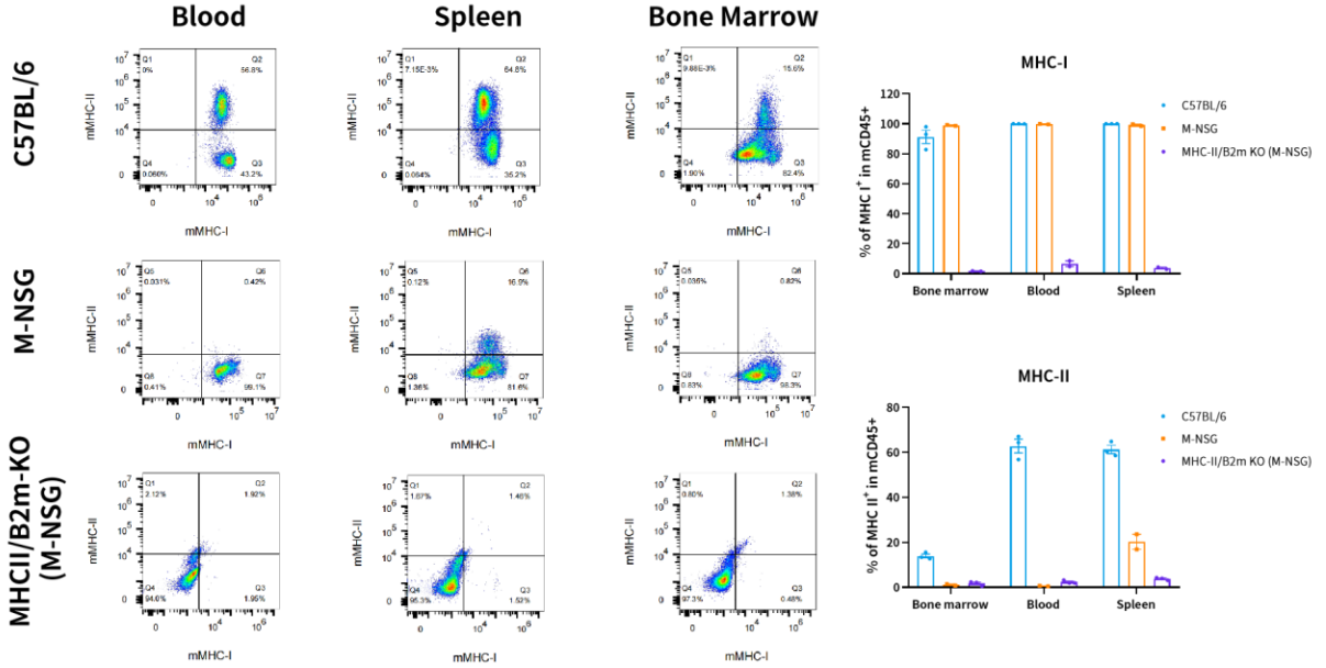 M-NSG Pro系列 | 这些小鼠，让免疫重建更进一步
