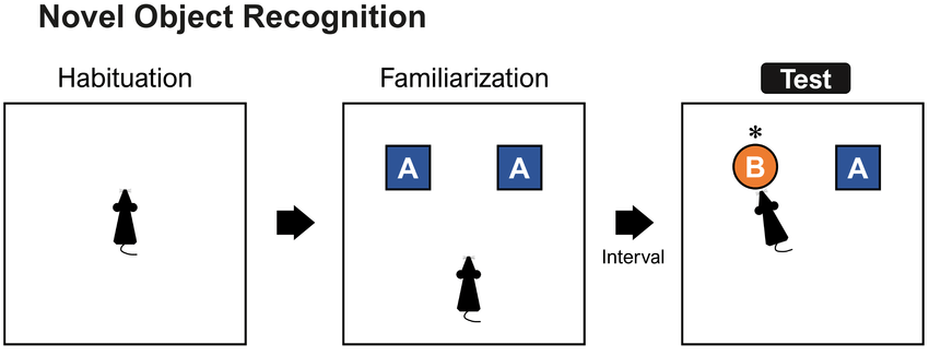 学习笔记 ｜ 小鼠经典行为学实验分享