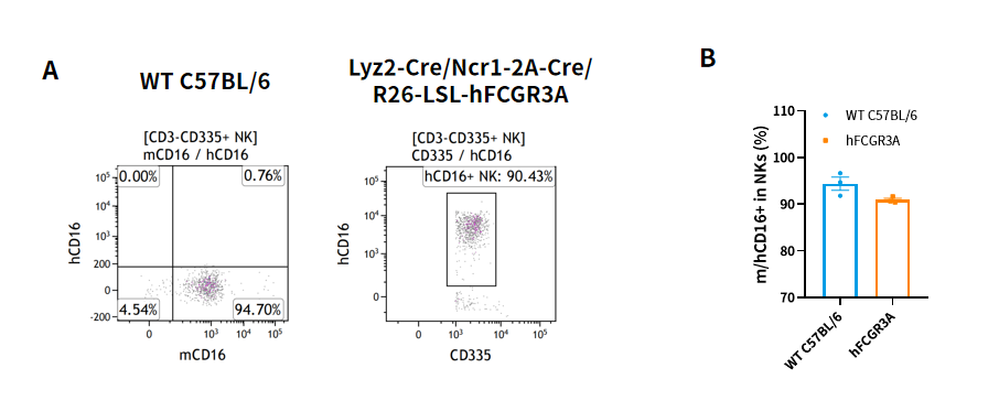 Lyz2-Cre/Ncr1-2A-Cre/R26-LSL-hFCGR3A-tdTomato
